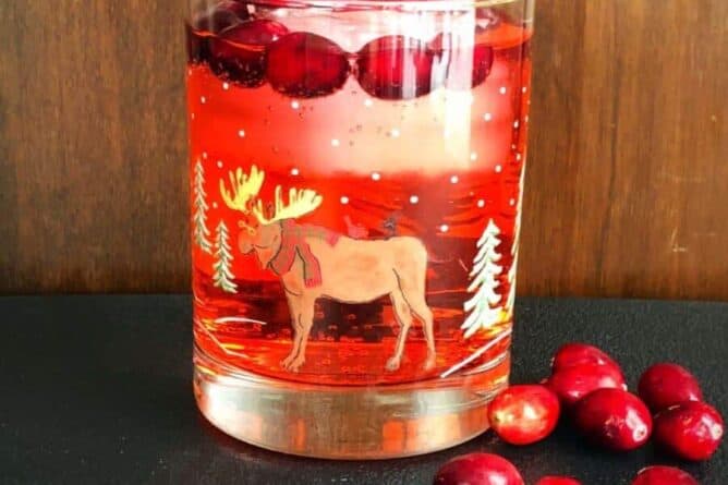 Cranberry Rum Ginger Ale - The Kitchen Magpie