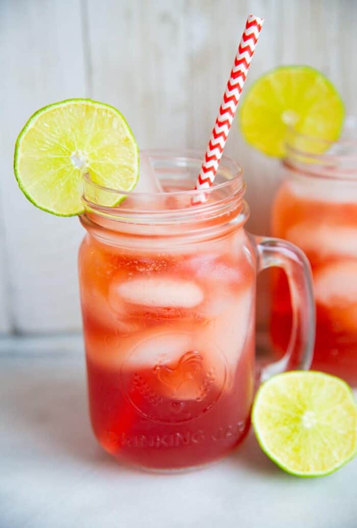 The Madras Vodka Drink - The Kitchen Magpie