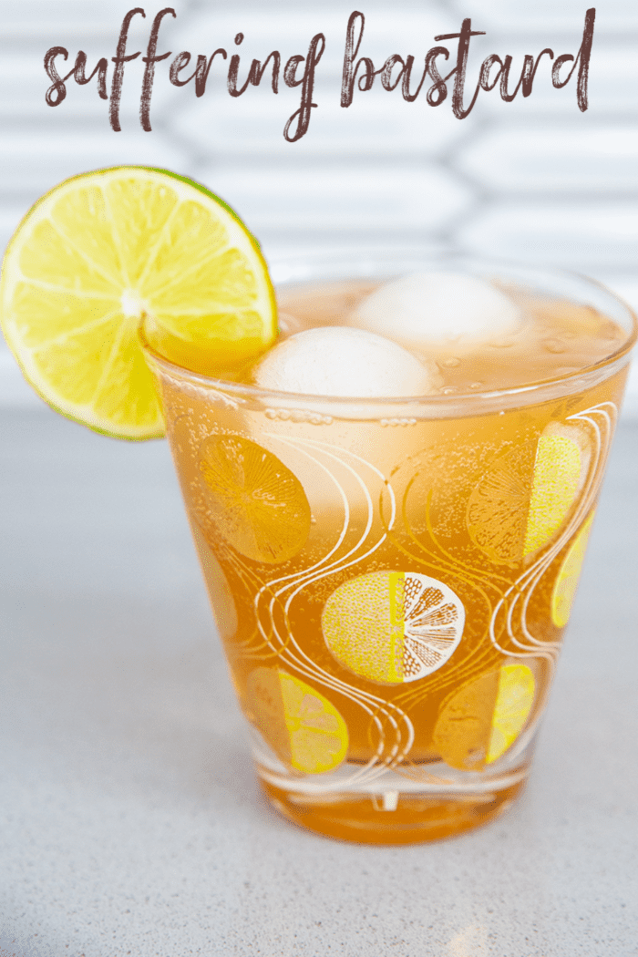 The Suffering Bastard Cocktail - The Kitchen Magpie