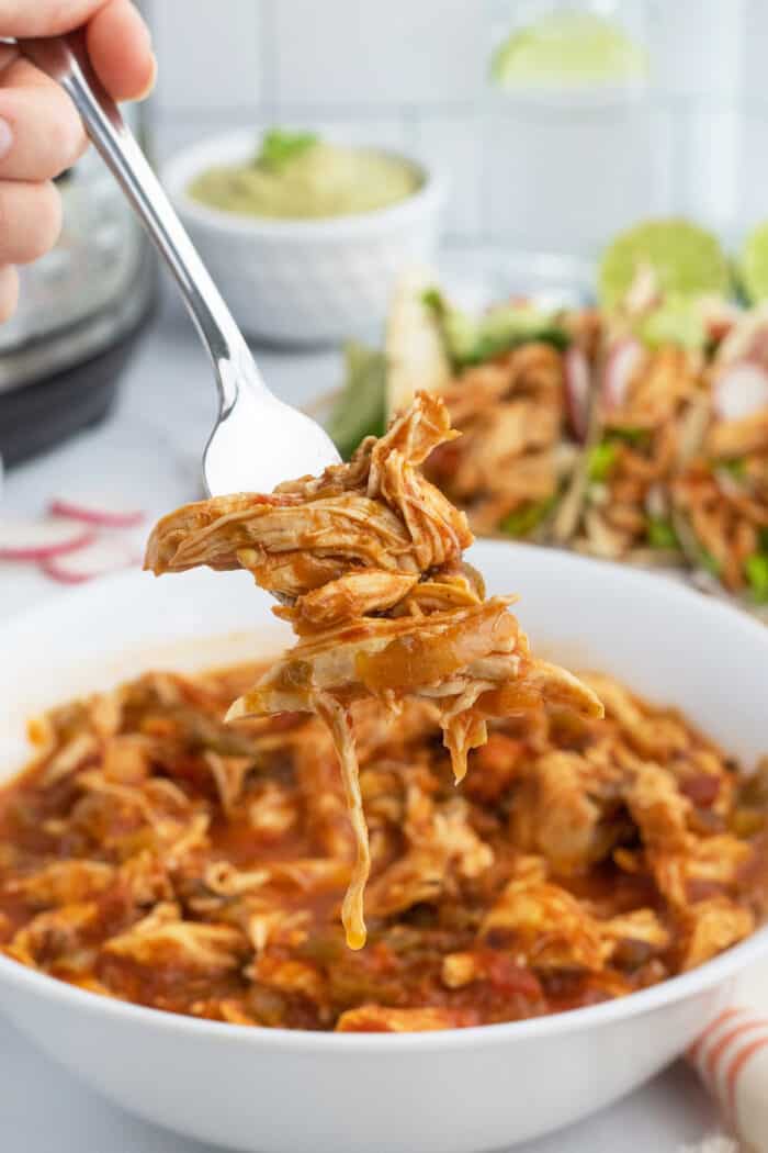Shredded Chicken Tacos - The Kitchen Magpie