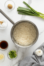 Teriyaki Rice - The Kitchen Magpie