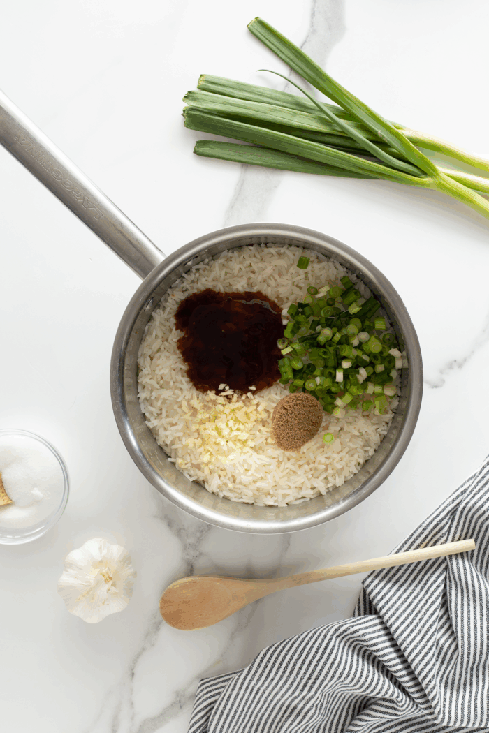 Teriyaki Rice - The Kitchen Magpie